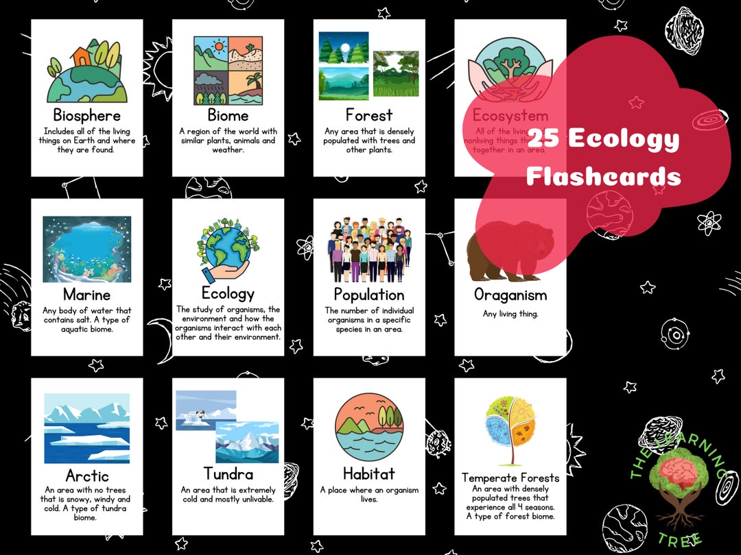 25 Ecology Flashcards | Digital Download Educational Flashcards - Etsy