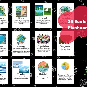 25 Ecology Flashcards | Digital Download Educational Flashcards - Etsy