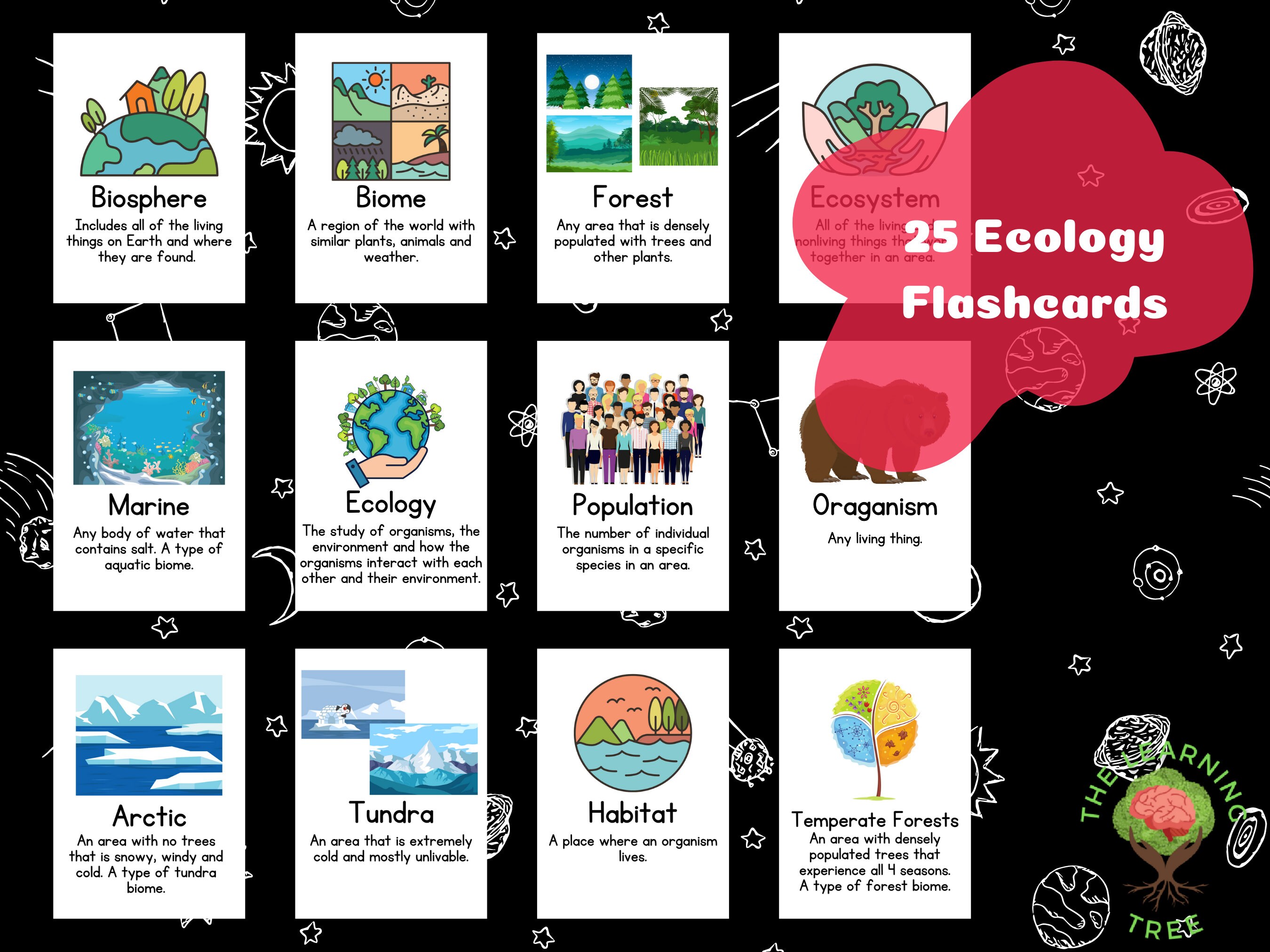 25 Ecology Flashcards | Digital Download Educational Flashcards - Etsy