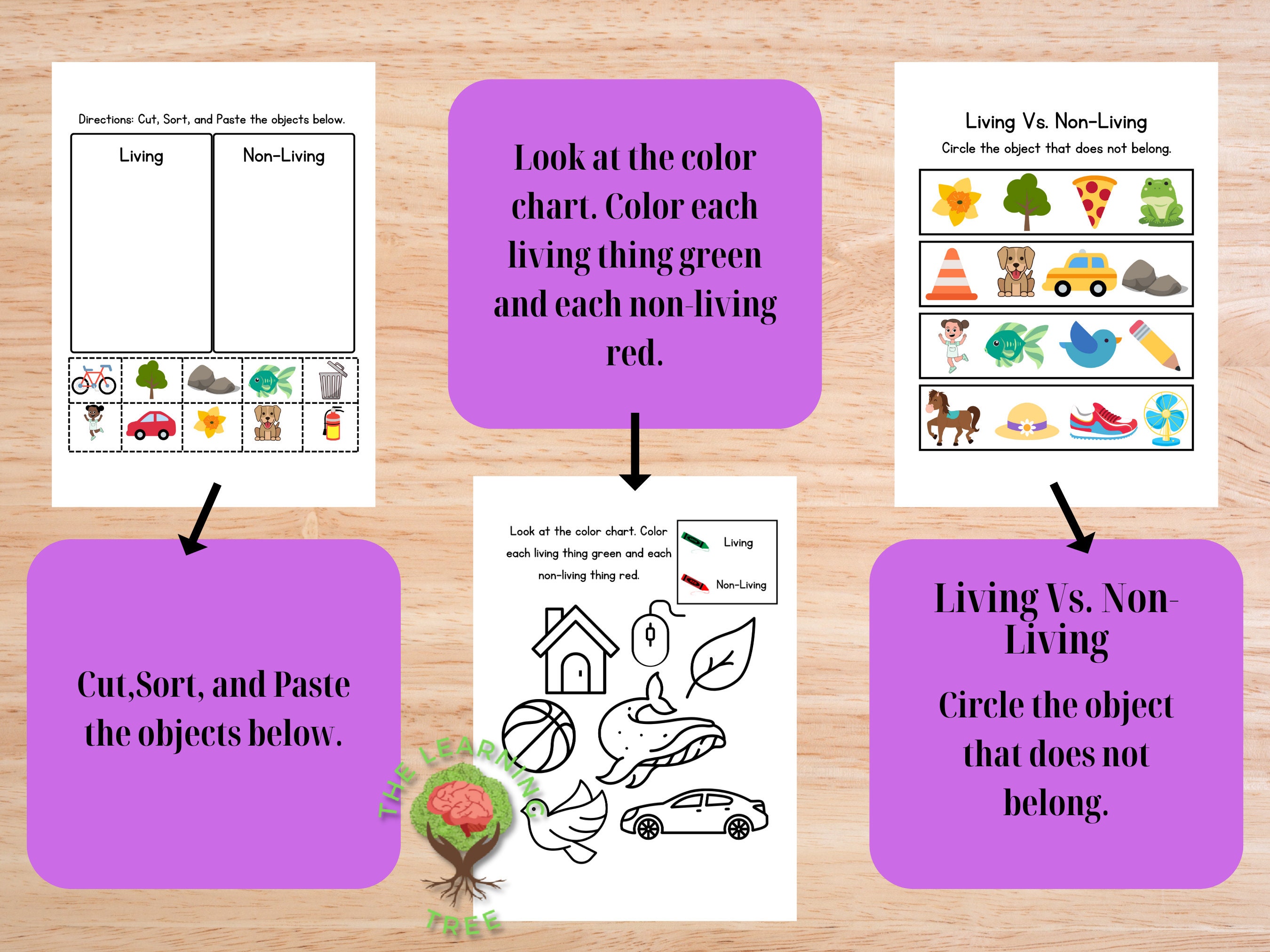 Living and Non-living Worksheets Educational Digital - Etsy