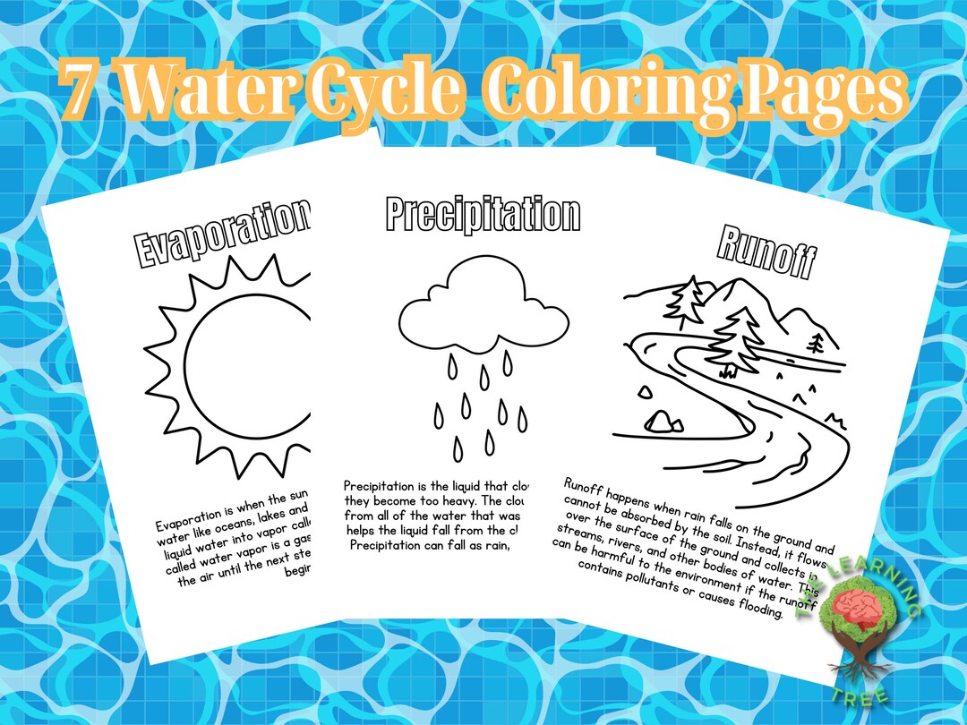 Water Cycle Coloring Pages| Digital Print Educational Pages - Etsy