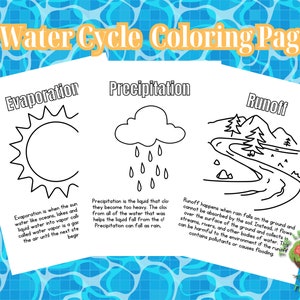 Water Cycle Coloring Pages| Digital Print Educational Pages - Etsy