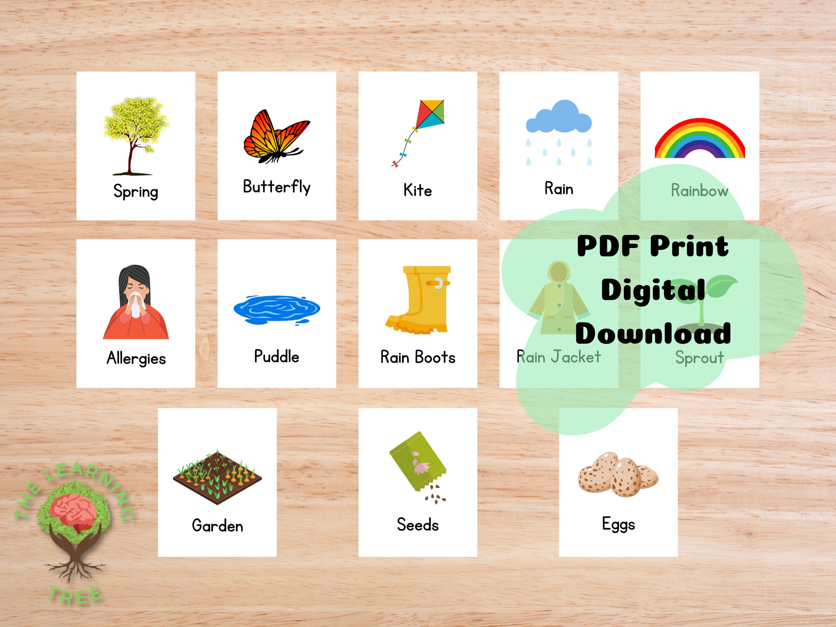 25 Spring Word Flashcards Digital Download Educational Flashcards - Etsy