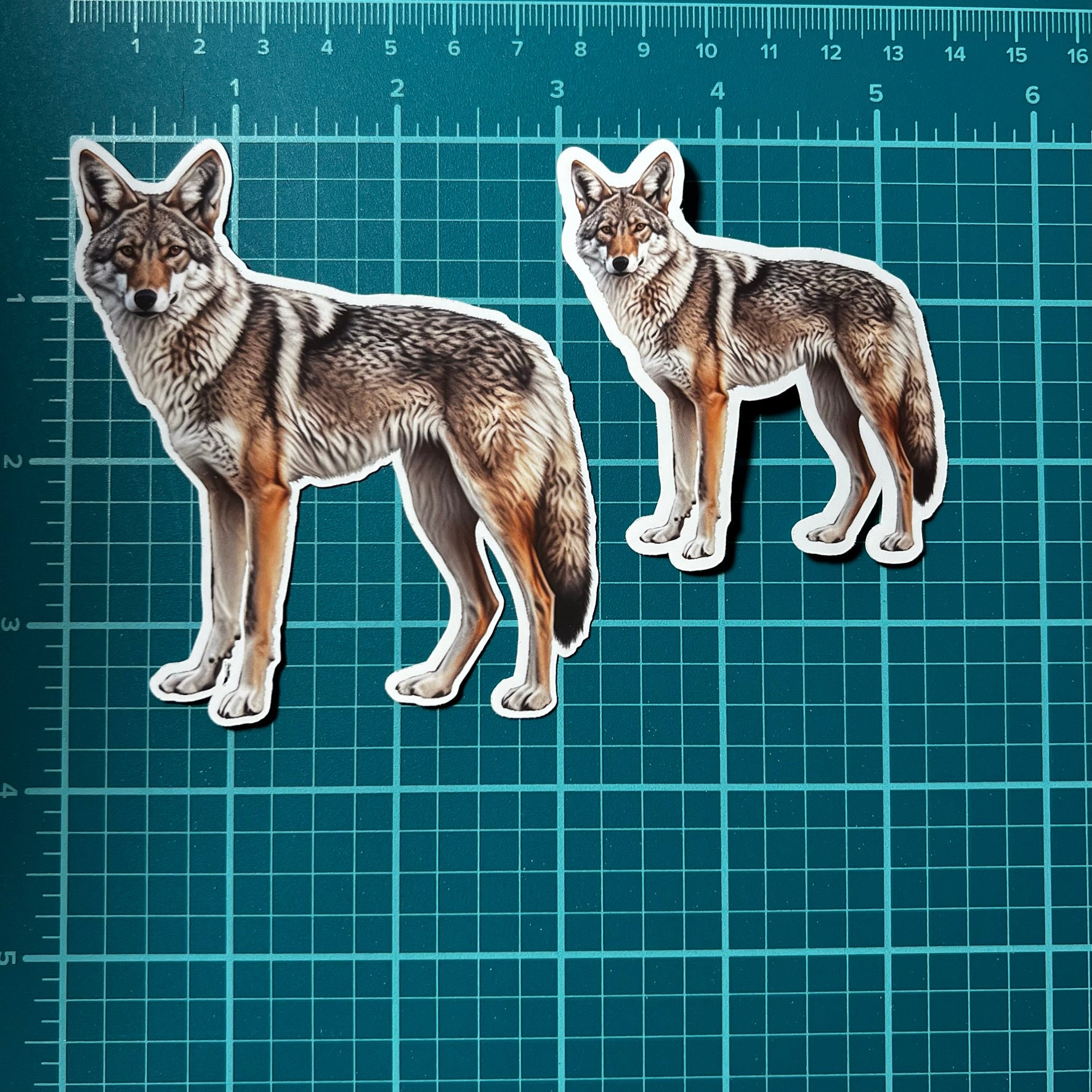 Coyote Stickers - Etsy