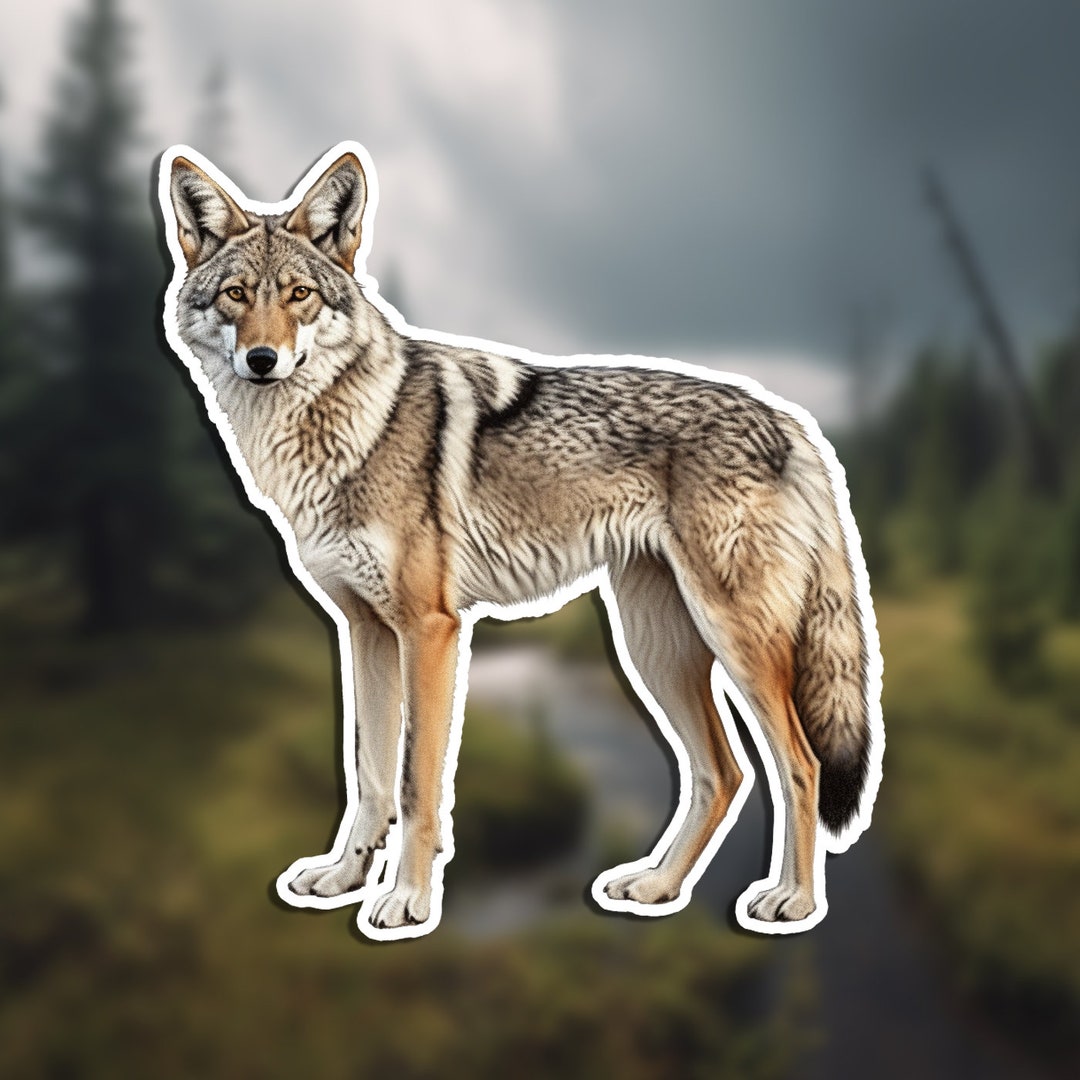 Coyote Stickers - Etsy