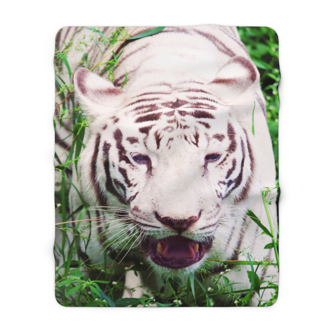 White Tiger Sherpa Fleece Blanket, Tiger Lovers Blanket, Option to ...
