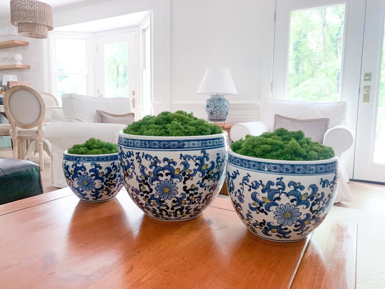Preserved Moss Centerpieces | Blue & White Chinoiserie Moss Pots ...