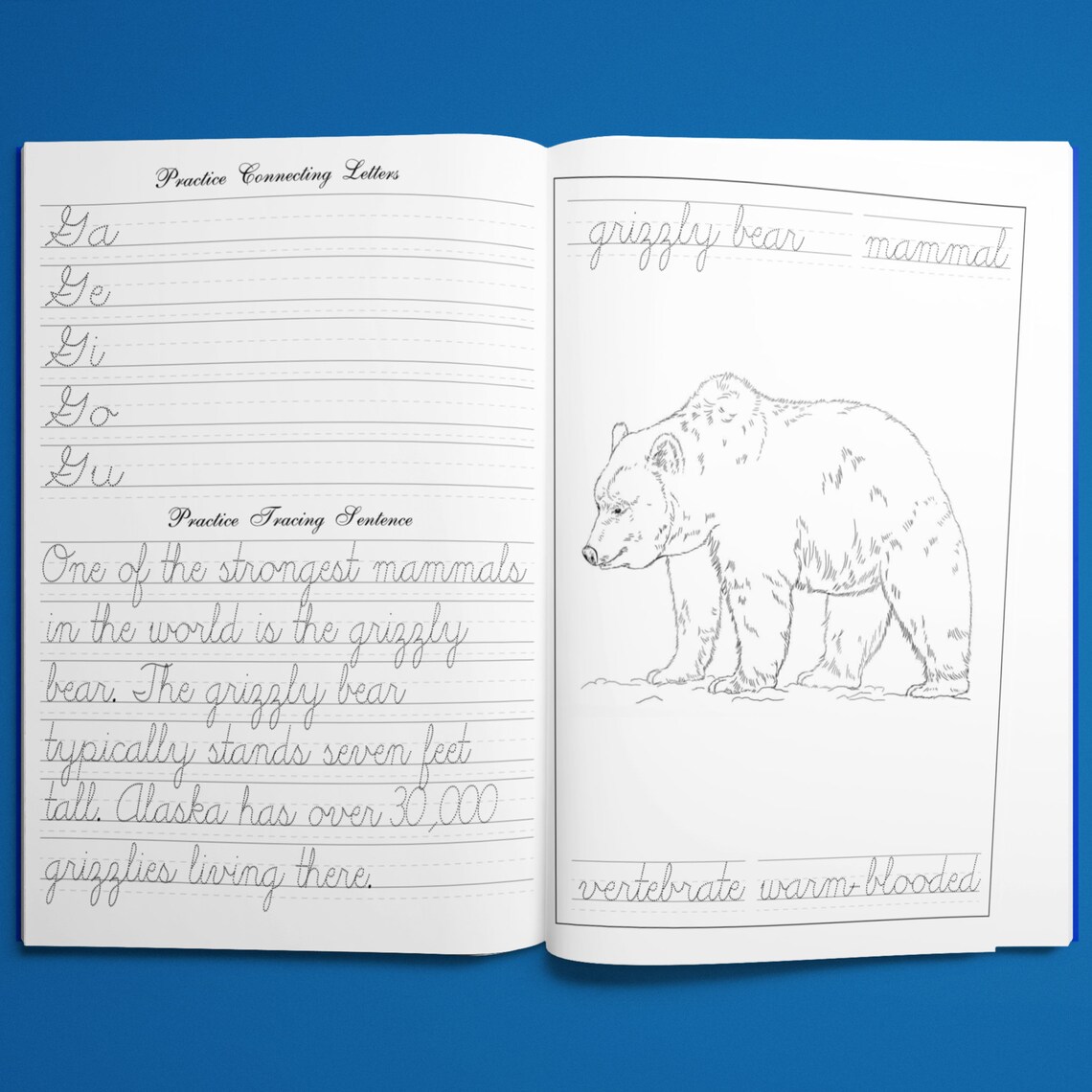 Printable - Exploring the Animal Kingdom Cursive Workbook for Kids Ages 8-12 - Etsy
