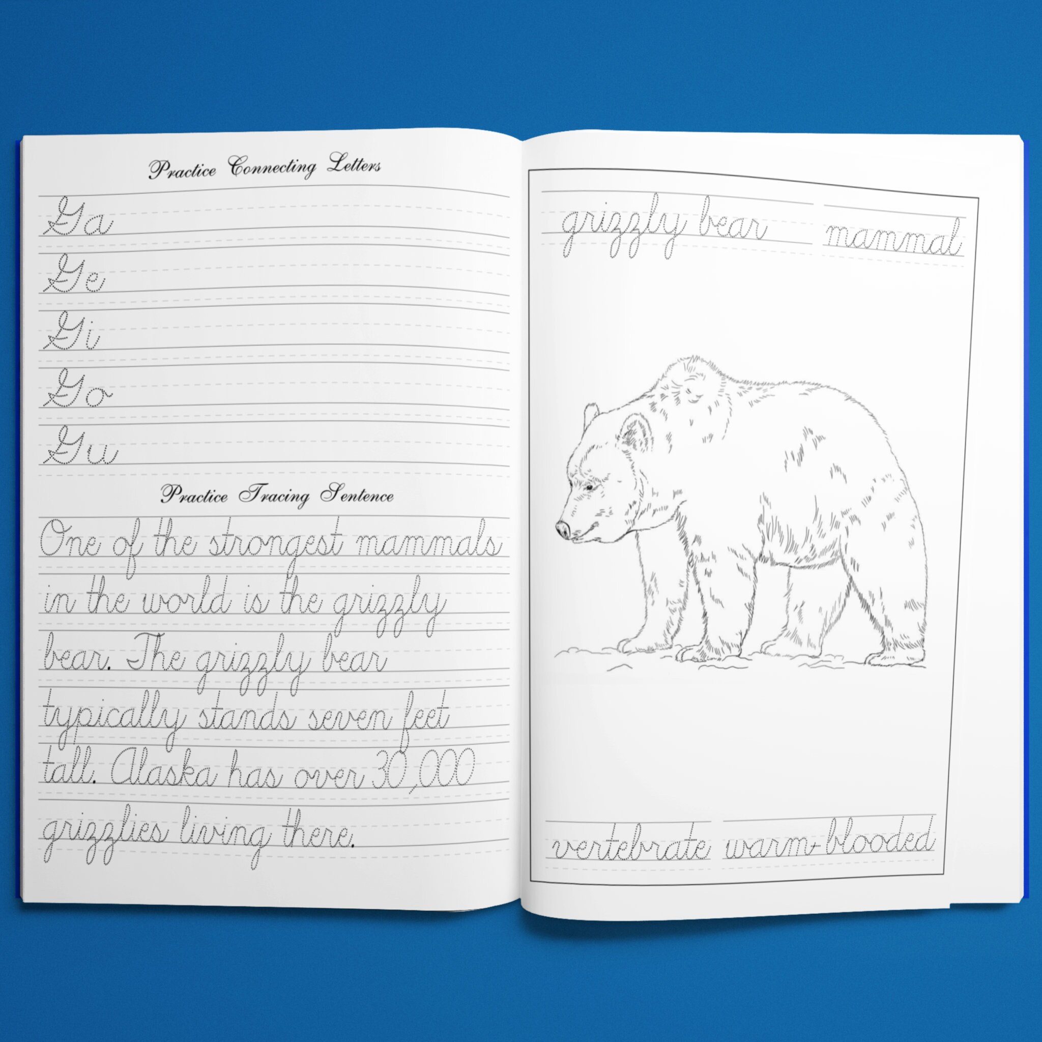 Printable - Exploring the Animal Kingdom Cursive Workbook for Kids Ages ...