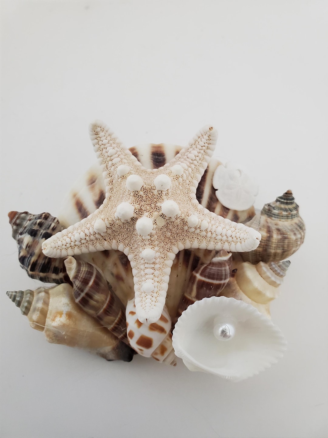Beige Seashell Hair Barrette, Shell Decor, Faux Pearls, Beach Theme ...