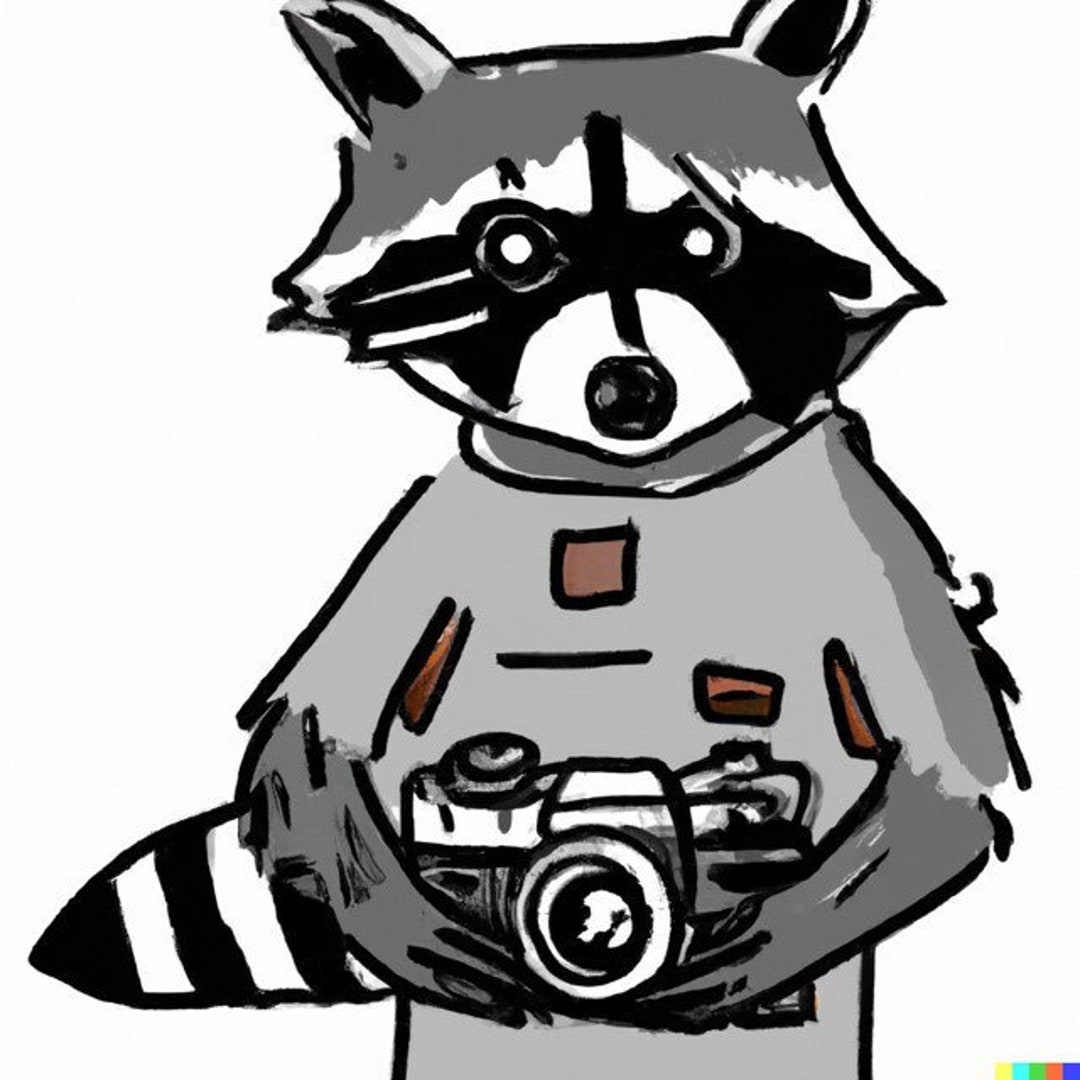 Raccoon Art - Etsy