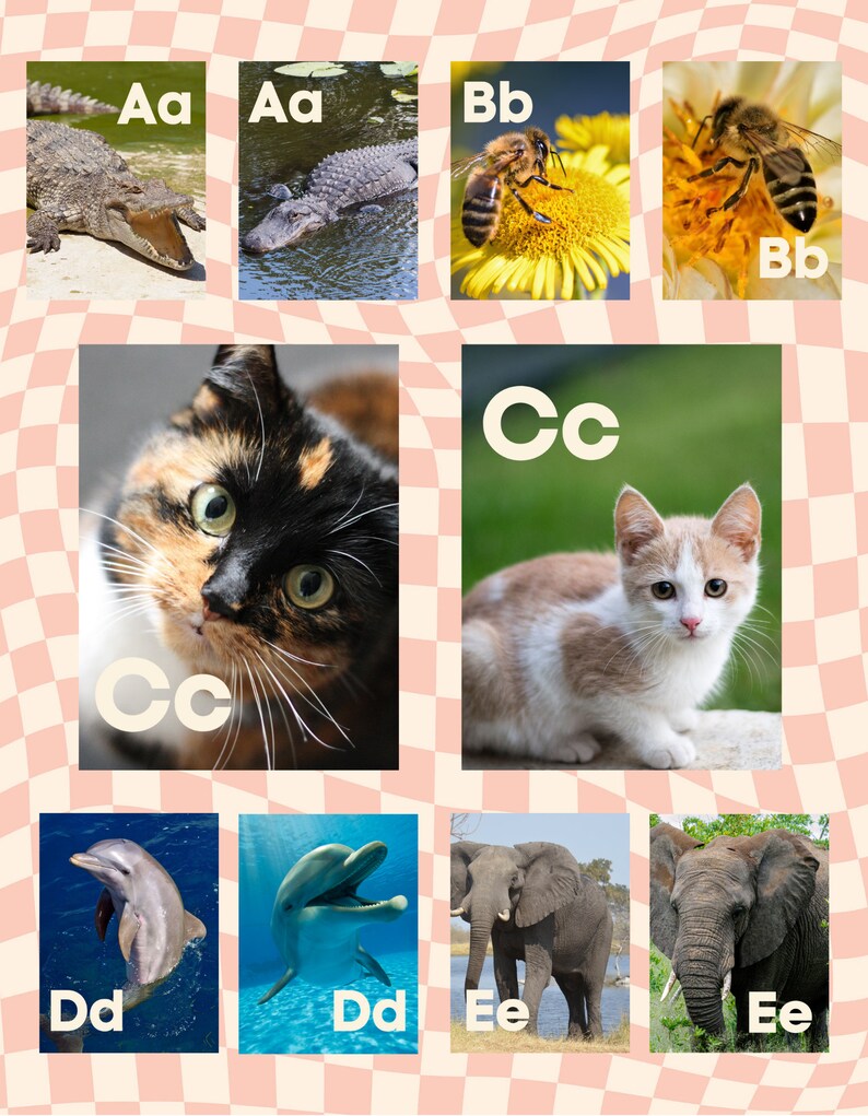 Animal Memory Game - Etsy