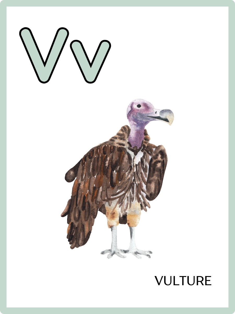 Alphabet Sound Cards *DIGITAL* - Etsy