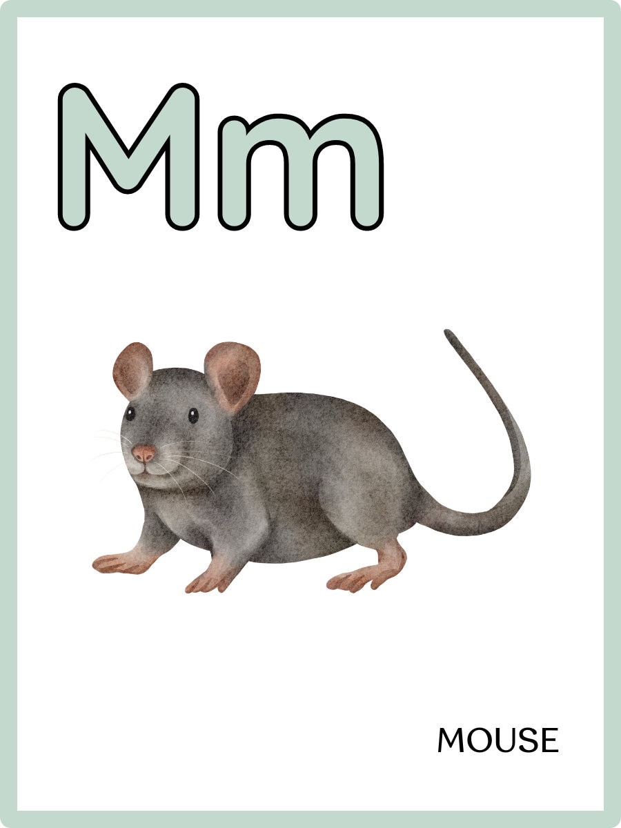 Alphabet Sound Cards *DIGITAL* - Etsy