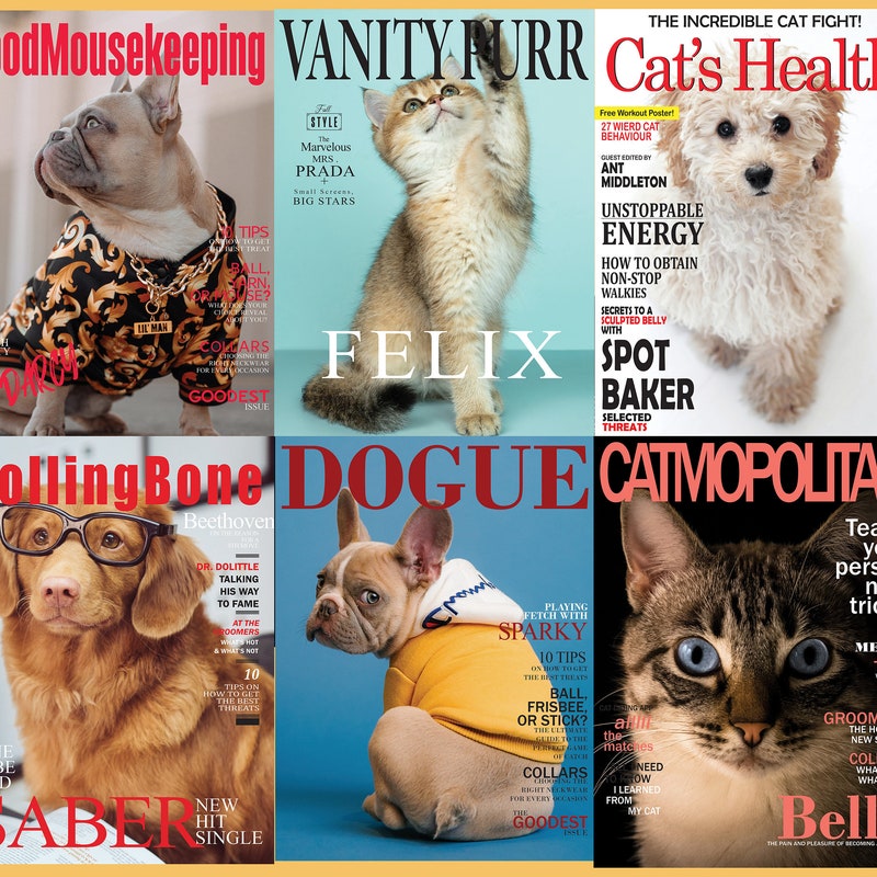 Pet Cat Magazine Photo - Etsy UK