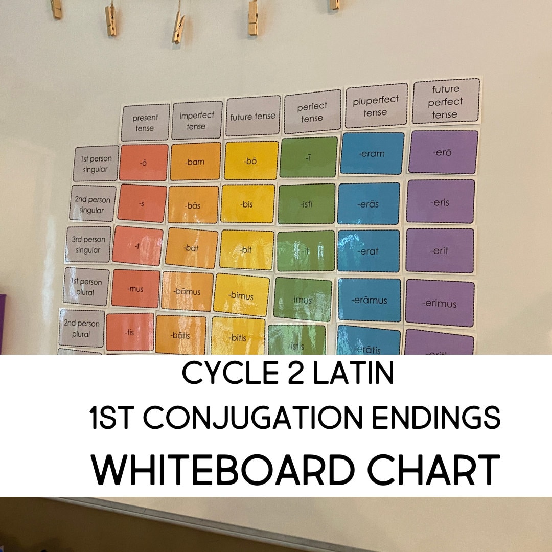 Latin Whiteboard Chart for Classical Conversations Cycle 2 - Etsy