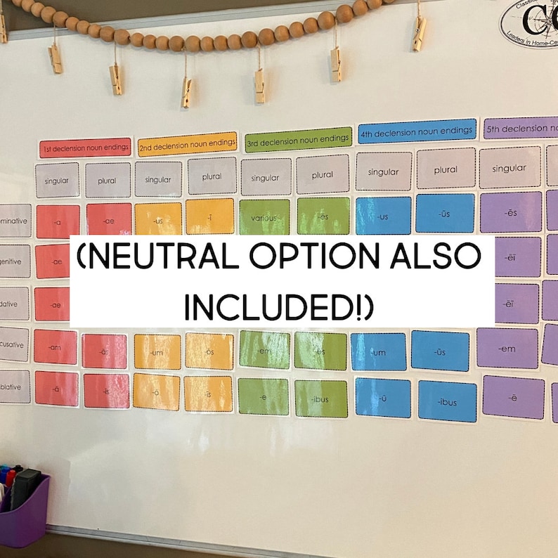 Latin Noun Whiteboard Chart for Classical Conversations Cycle 1 - Etsy