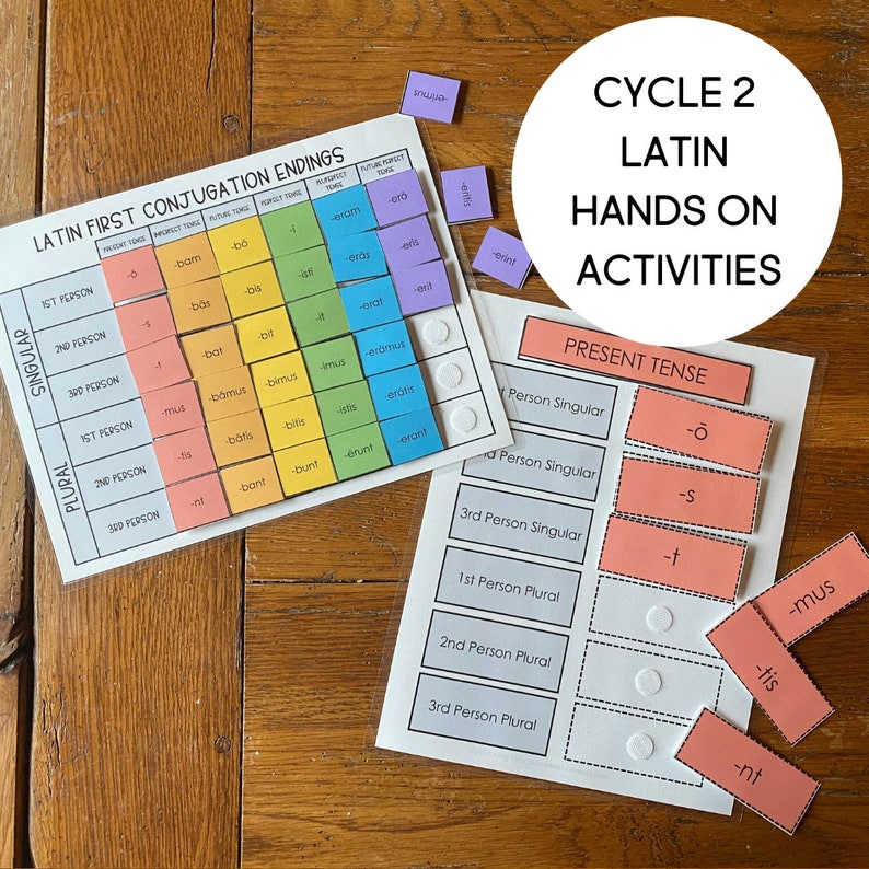 CC Cycle 2 Latin *BUNDLE* | Interactive Whiteboard Chart and Hands on ...
