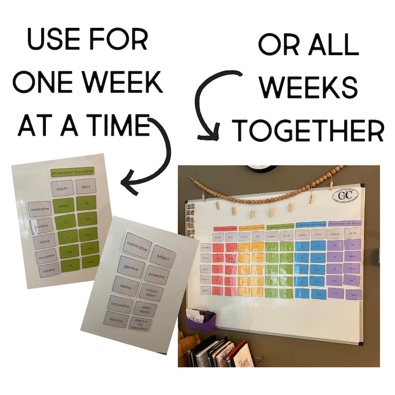 Latin Noun Whiteboard Chart for Classical Conversations Cycle 1 - Etsy