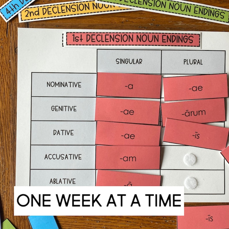 Latin Noun Endings Hands on Chart for Classical Conversations Cycle 1 ...
