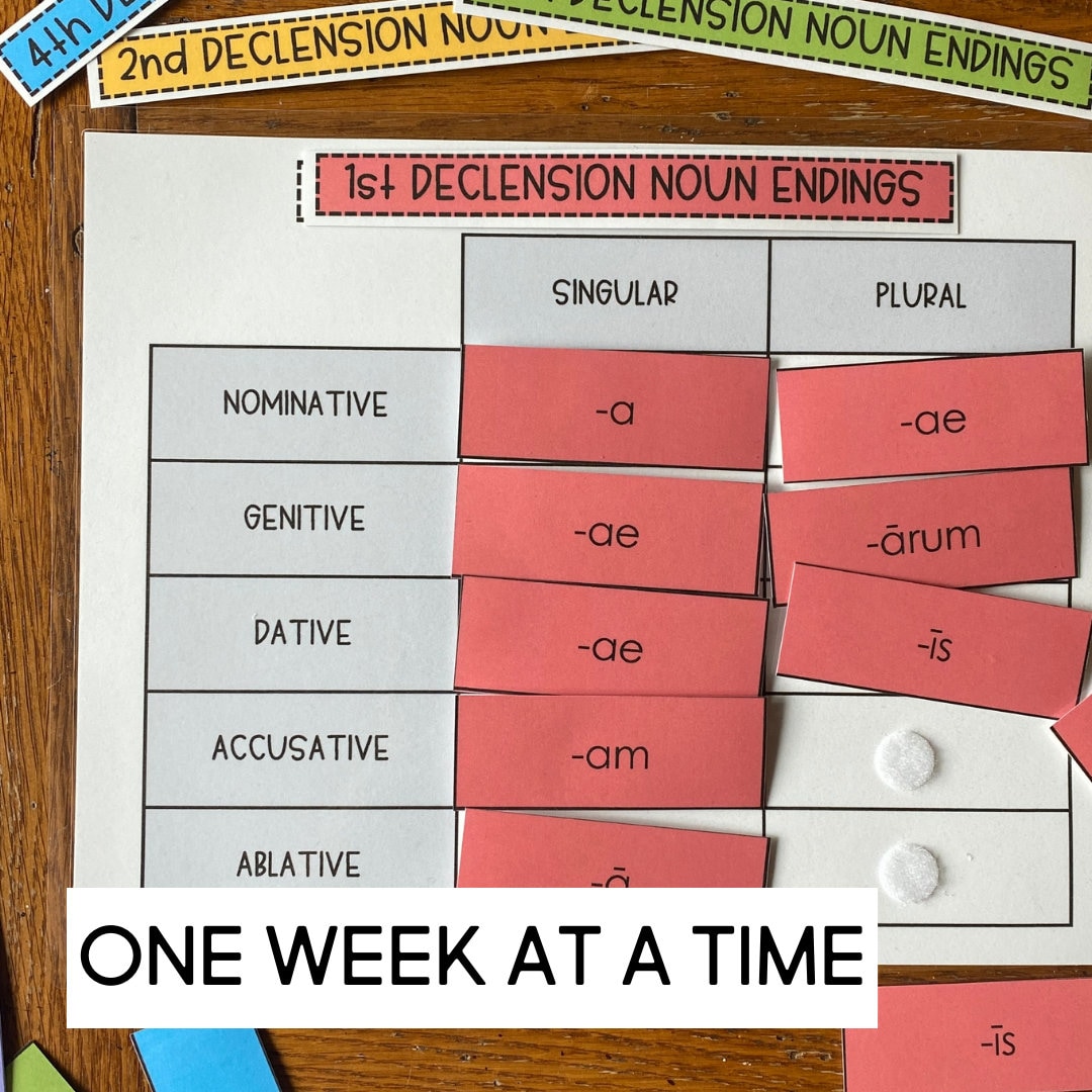 Latin Noun Endings Hands on Chart for Classical Conversations Cycle 1 ... Latin Noun Endings Hands on Chart for Classical Conversations Cycle 1 ...