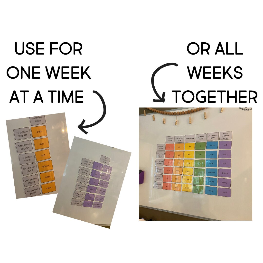 Latin Whiteboard Chart for Classical Conversations Cycle 2 - Etsy