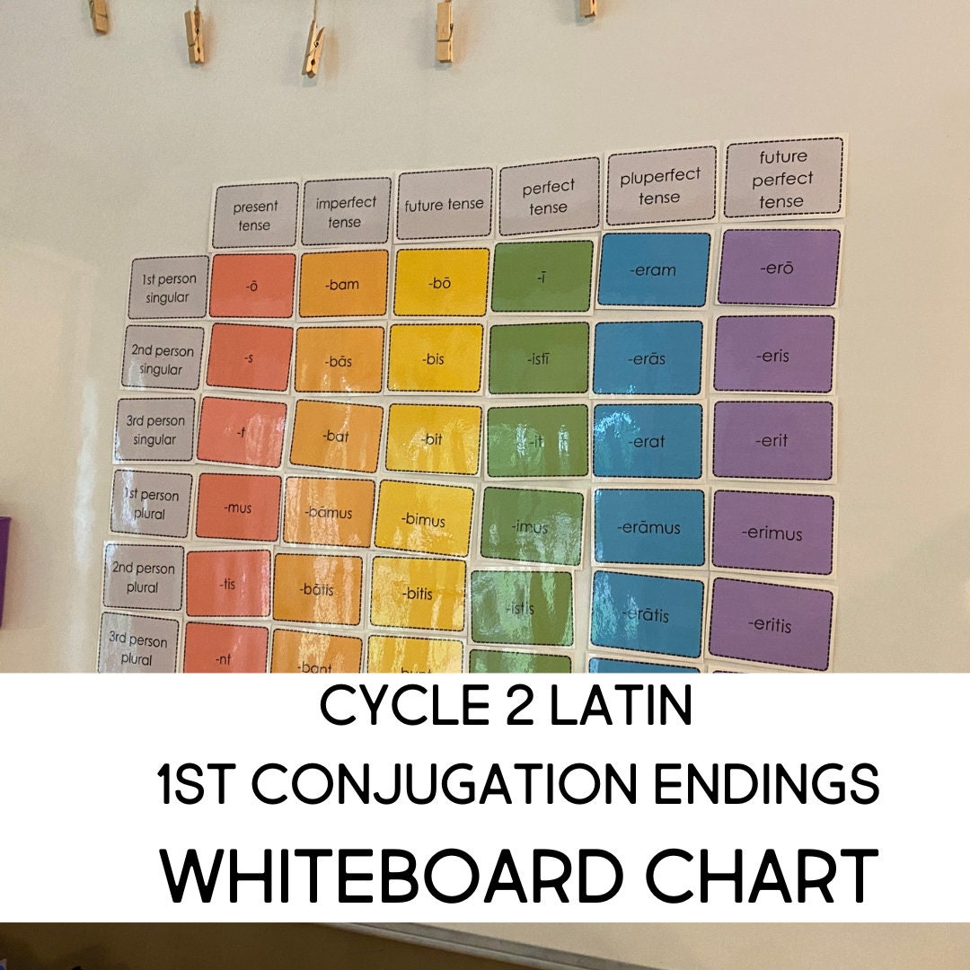 CC Cycle 2 Latin *BUNDLE* | Interactive Whiteboard Chart and Hands on ...