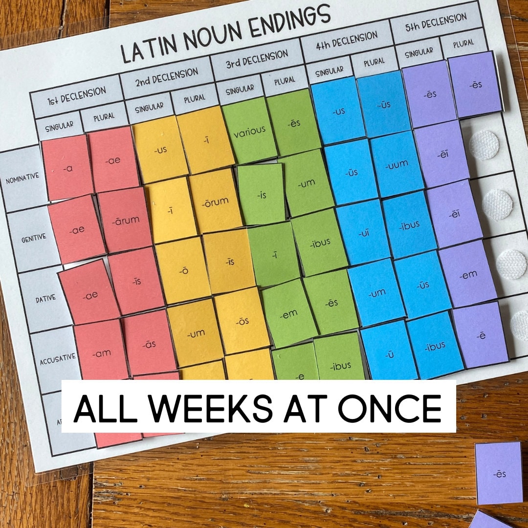 Latin Noun Endings Hands on Chart for Classical Conversations Cycle 1 ...