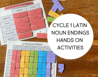 Latin Noun Whiteboard Chart for Classical Conversations Cycle 1 - Etsy