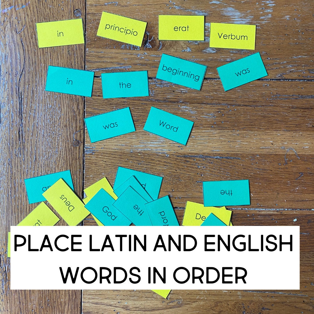 CC Cycle 3 Latin *BUNDLE* | Interactive Whiteboard Chart, Hands on ...