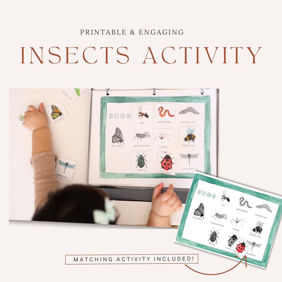 Toddler Montessori Learning Binder, Insects Matching Activity - Instant ...