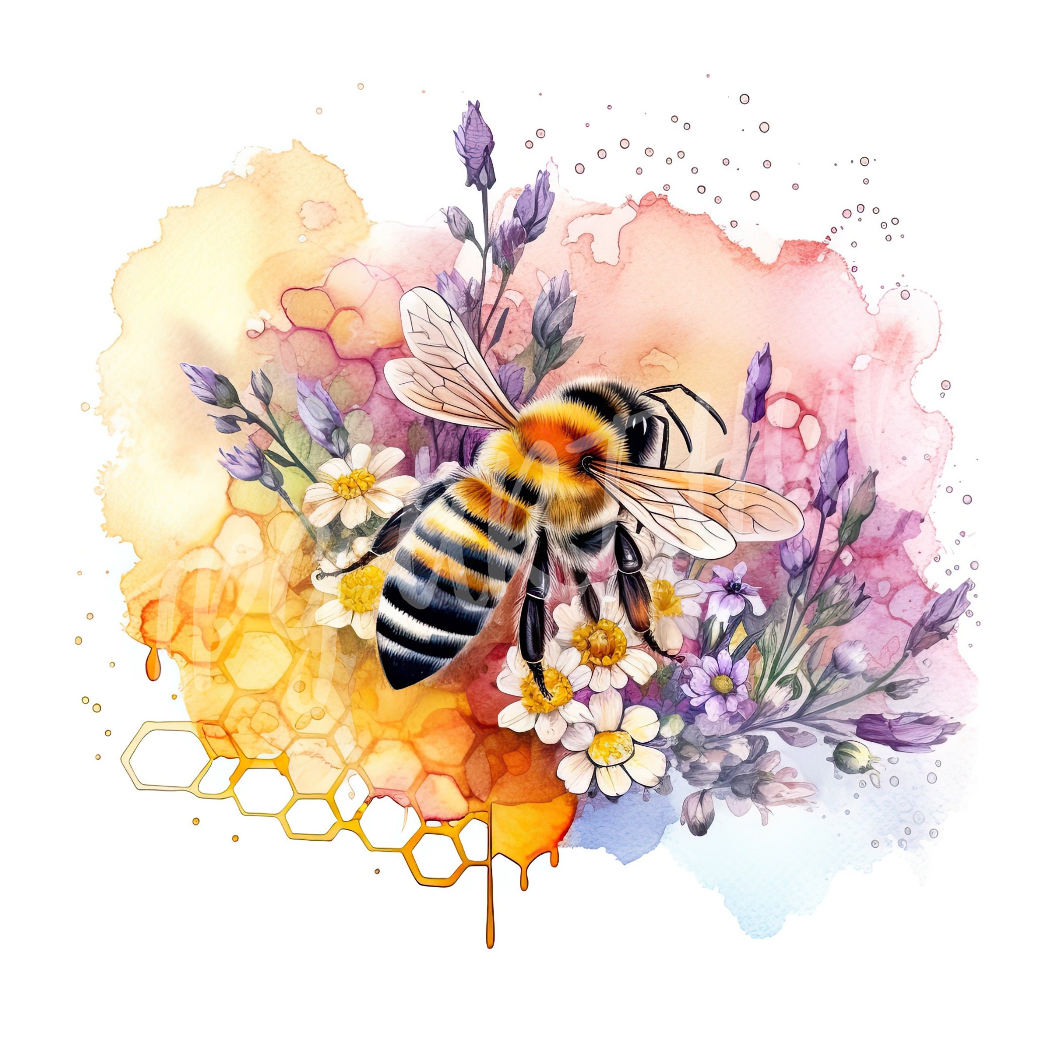 Watercolor Bee Honeycomb Clipart, Bee Clipart, Honey Clipart, Digital ...