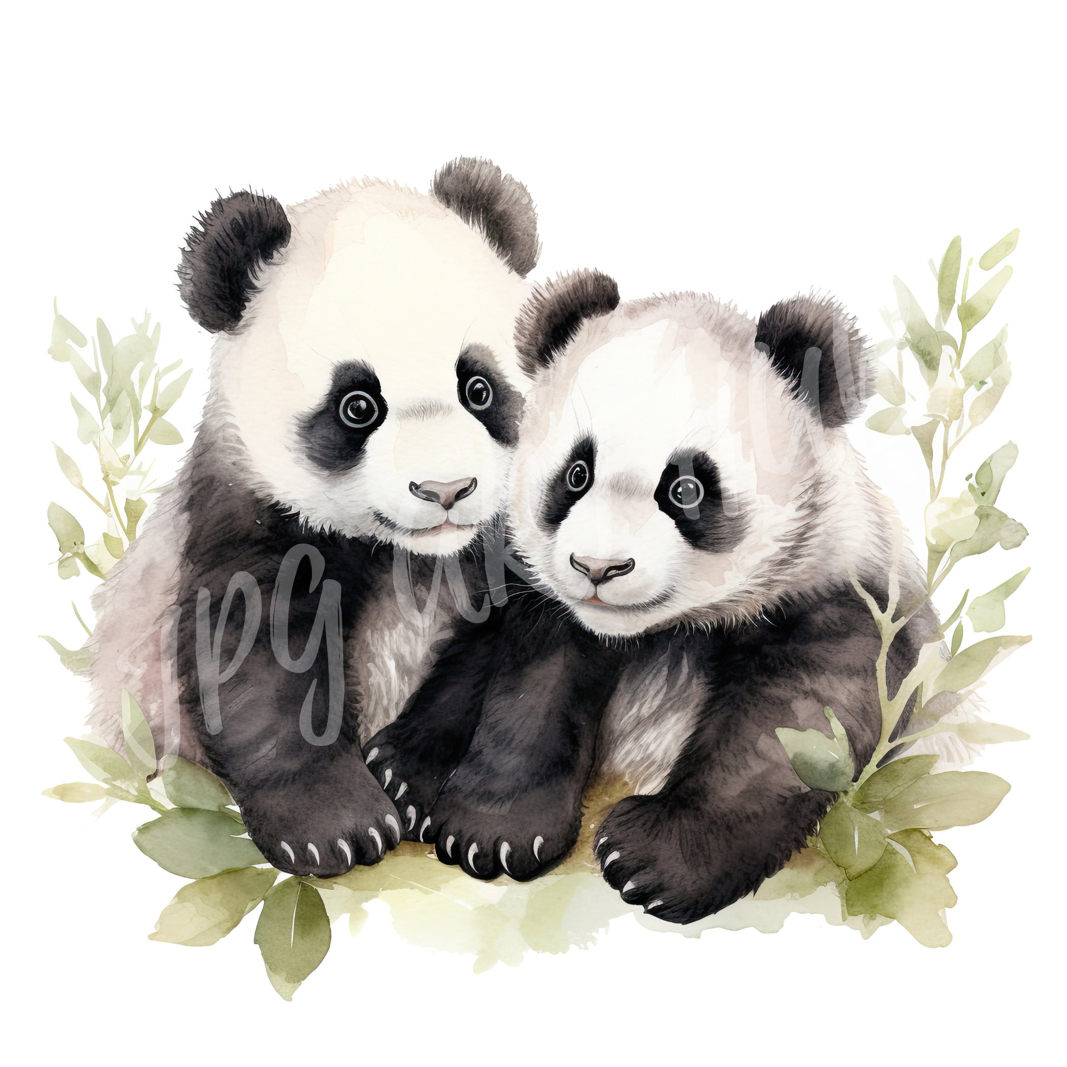 Watercolor Cute Panda Clipart Bundle Baby Panda High Quality - Etsy