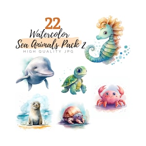 Watercolor Sea Animal Pack 2 Clipart, Sea Creature Clipart, Digital ...