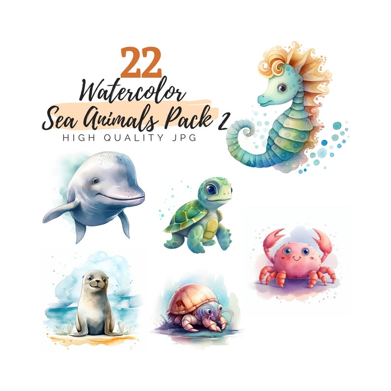 Watercolor Sea Animal Pack 2 Clipart Sea Creature Clipart - Etsy
