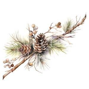 Watercolor Christmas Pine Cones Clipart, High Quality JPG, Digital ...