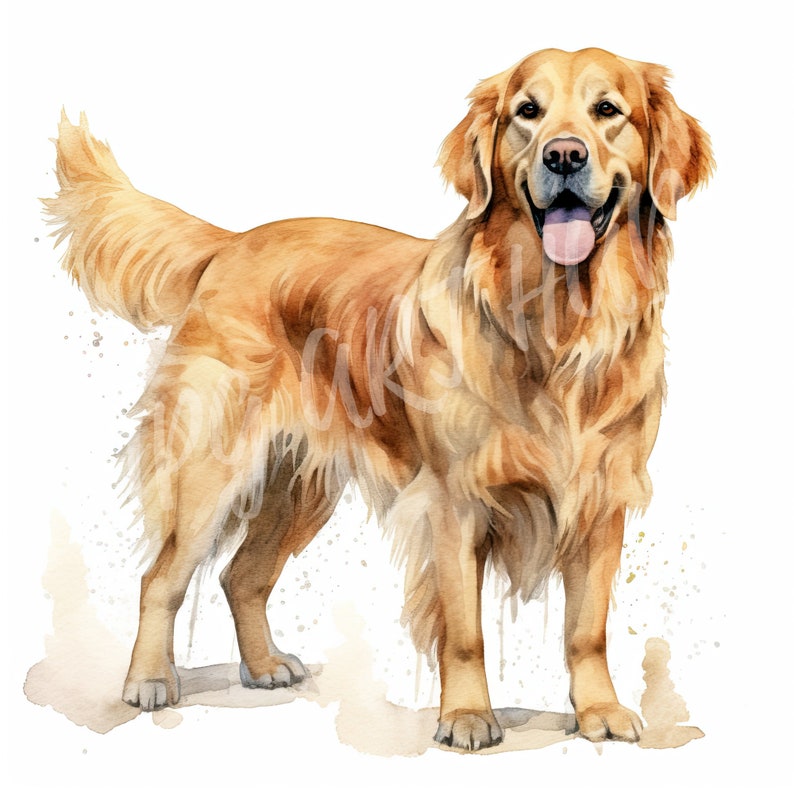 Watercolor Golden Retriever Clipart High Quality JPG Digital - Etsy