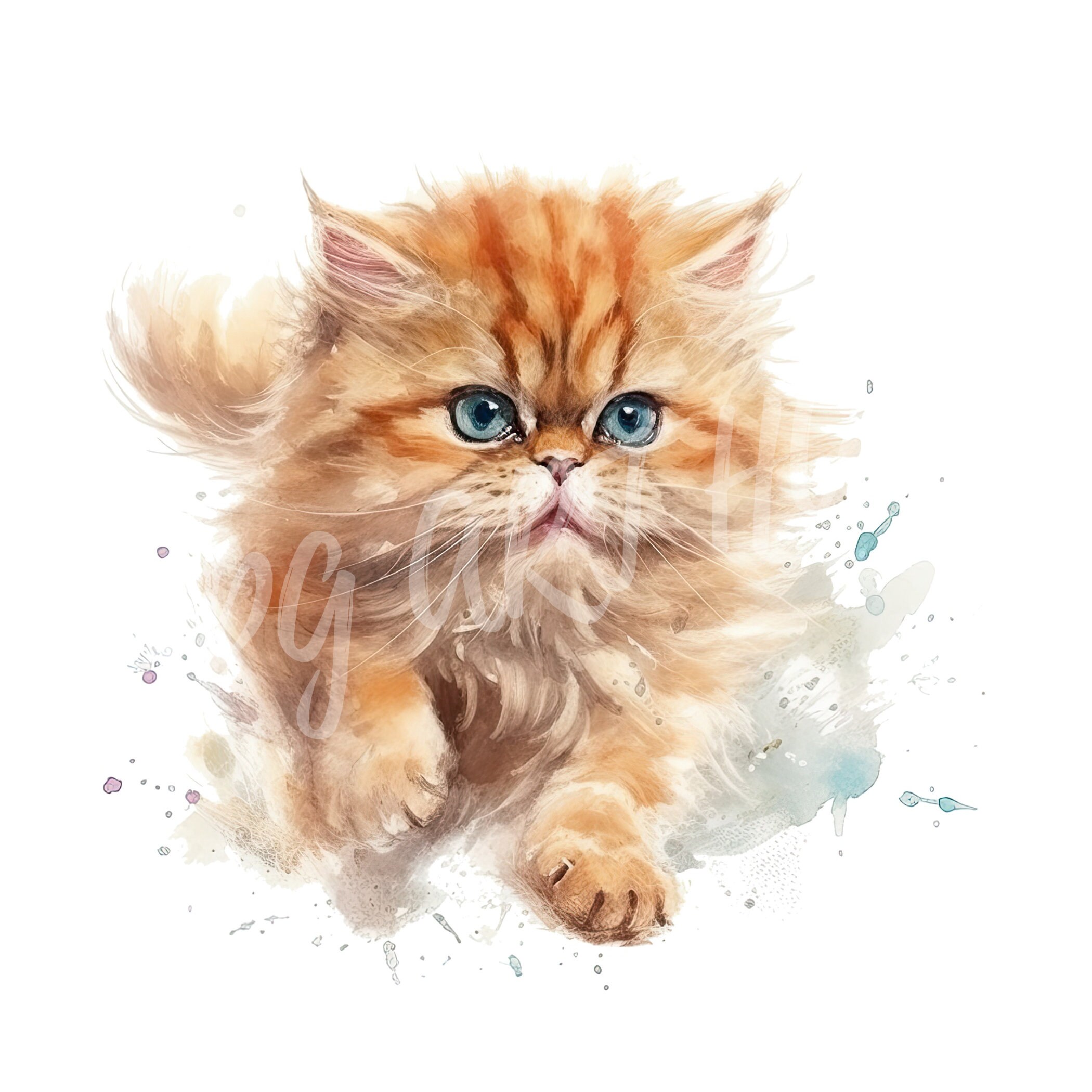 Watercolor Persian Kitten Clipart, Cat Lover, Digital Download, Persian ...