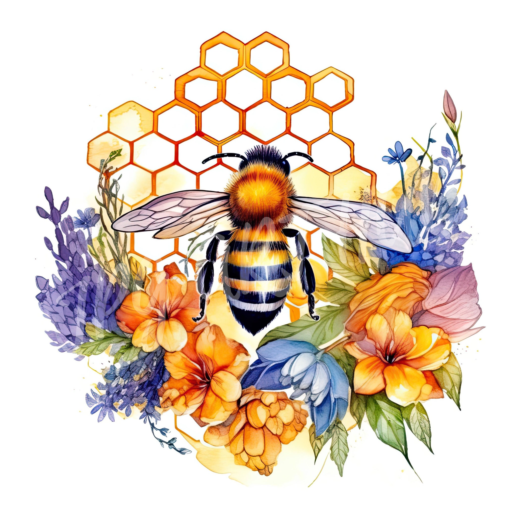 Watercolor Bee Honeycomb Clipart Bee Clipart Honey Clipart - Etsy