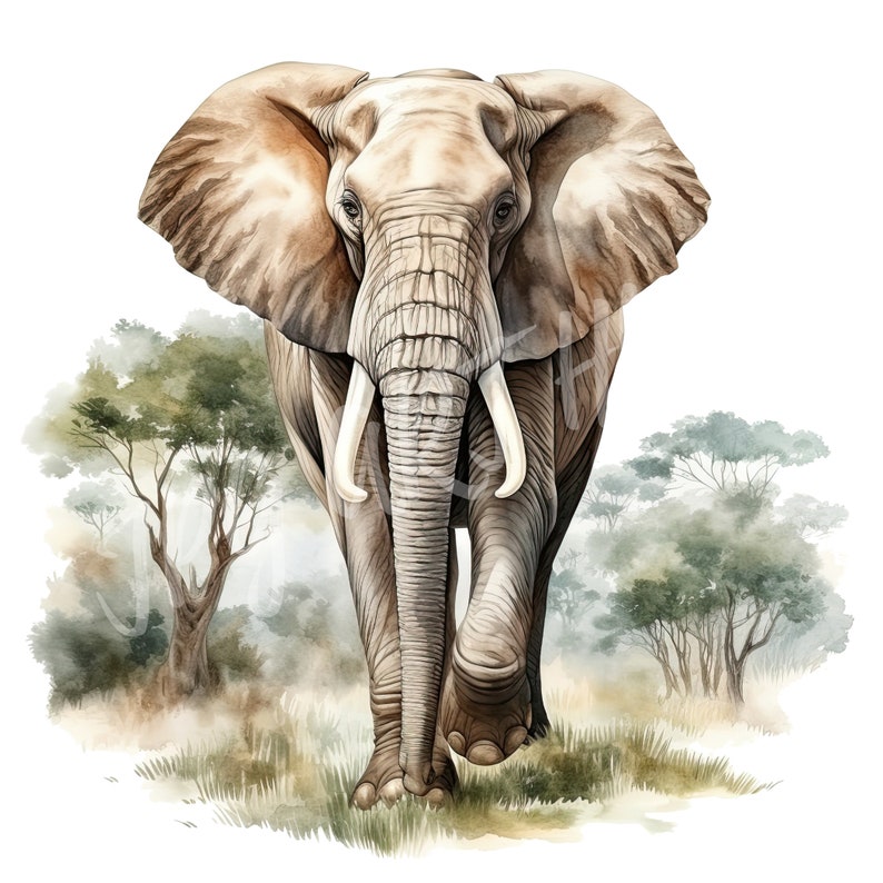 Watercolor Elephants Clipart Bundle, Wild Animal Clipart, High Quality ...