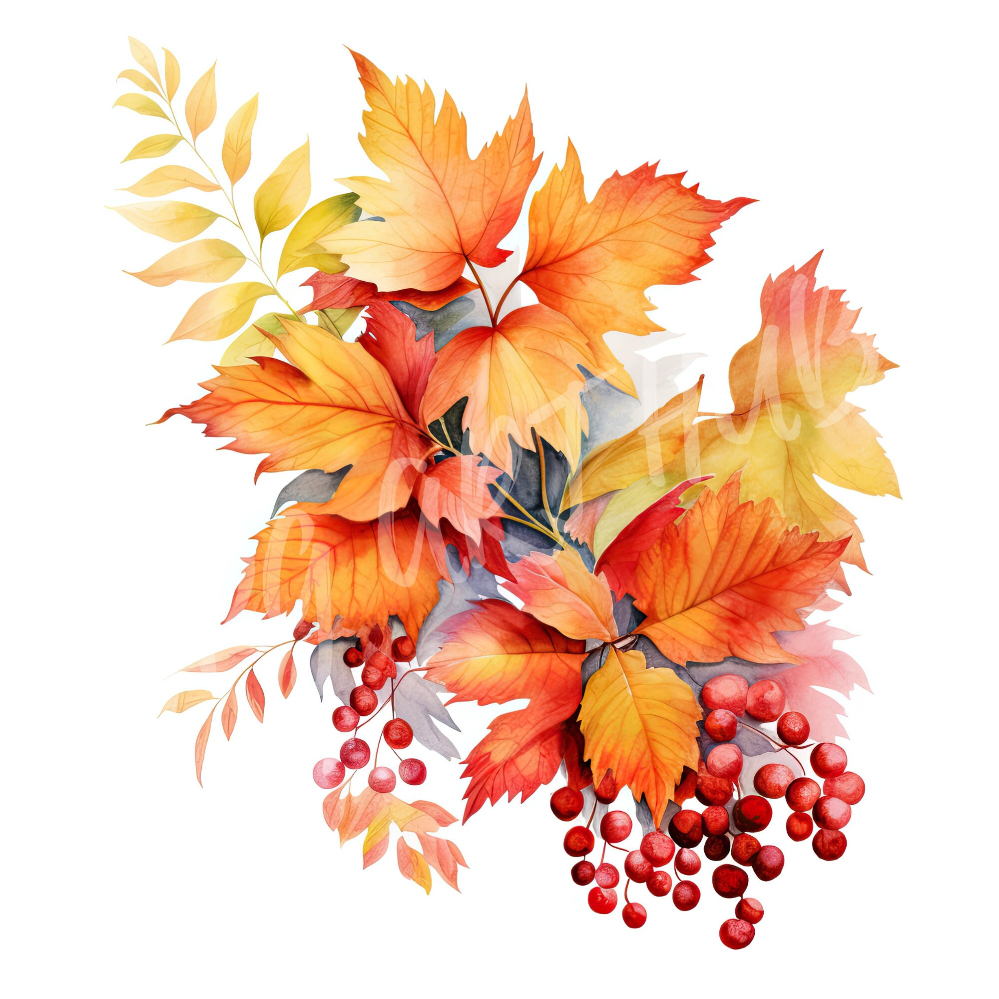Watercolor Autumn Leaves Clipart, Autumn Clipart. High Quality JPG ...