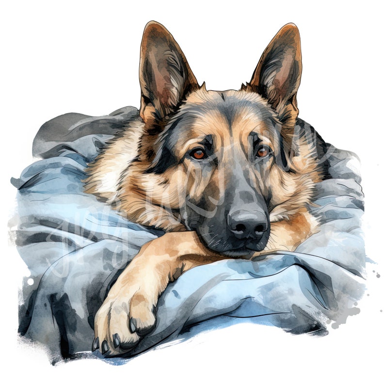 Watercolor German Shepherd Clipart High Quality JPG Digital - Etsy