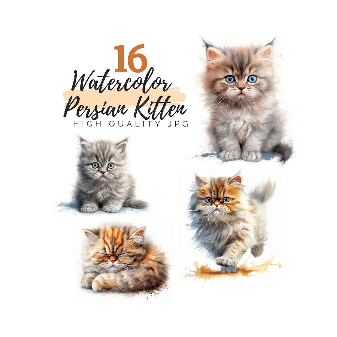 Watercolor Persian Kitten Clipart, Cat Lover, Digital Download, Persian ...