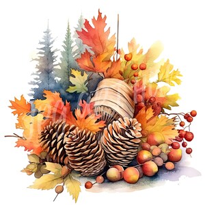 Watercolor Autumn Elements Clipart, Autumn Clipart, Pine Cone ...