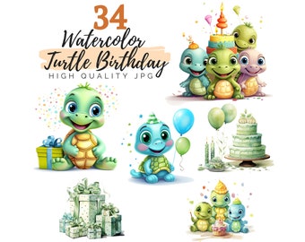 Birthday Turtle Clipart Party - Etsy