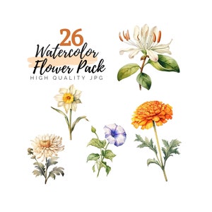 Watercolor Flower Clipart Bundle, Floral Clipart, Digital Download ...