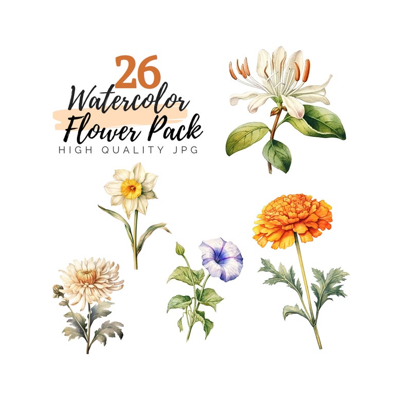 Watercolor Flower Clipart Bundle, Floral Clipart, Digital Download ...