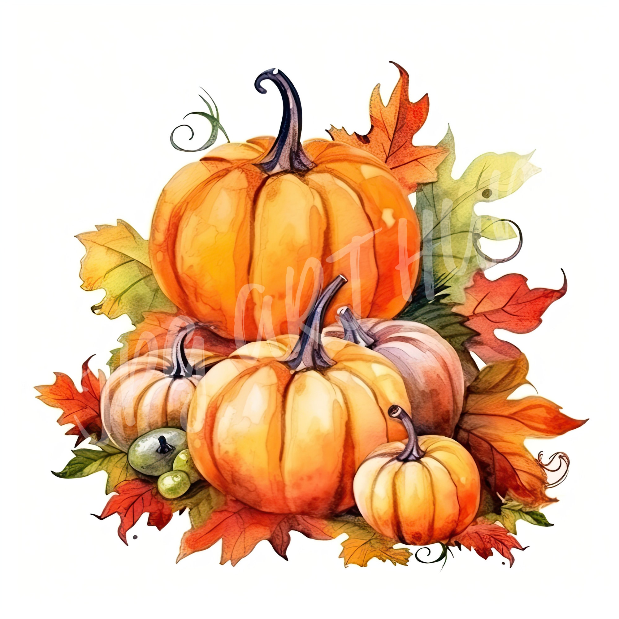 Watercolor Pumpkin Clipart, Fall Clipart Bundle, High Quality JPG ...