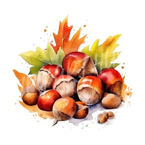 Watercolor Autumn Elements Clipart, Autumn Clipart, Pine Cone ...