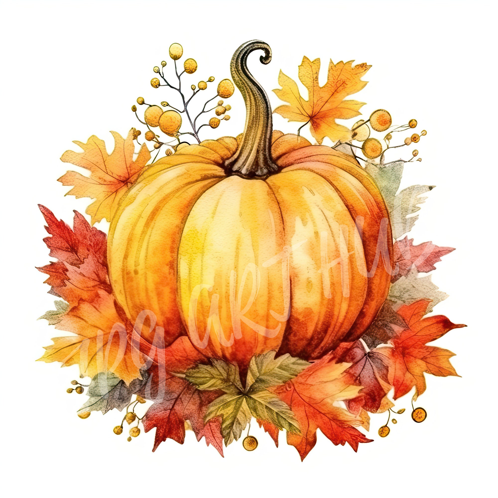Watercolor Pumpkin Clipart Fall Clipart Bundle High Quality - Etsy
